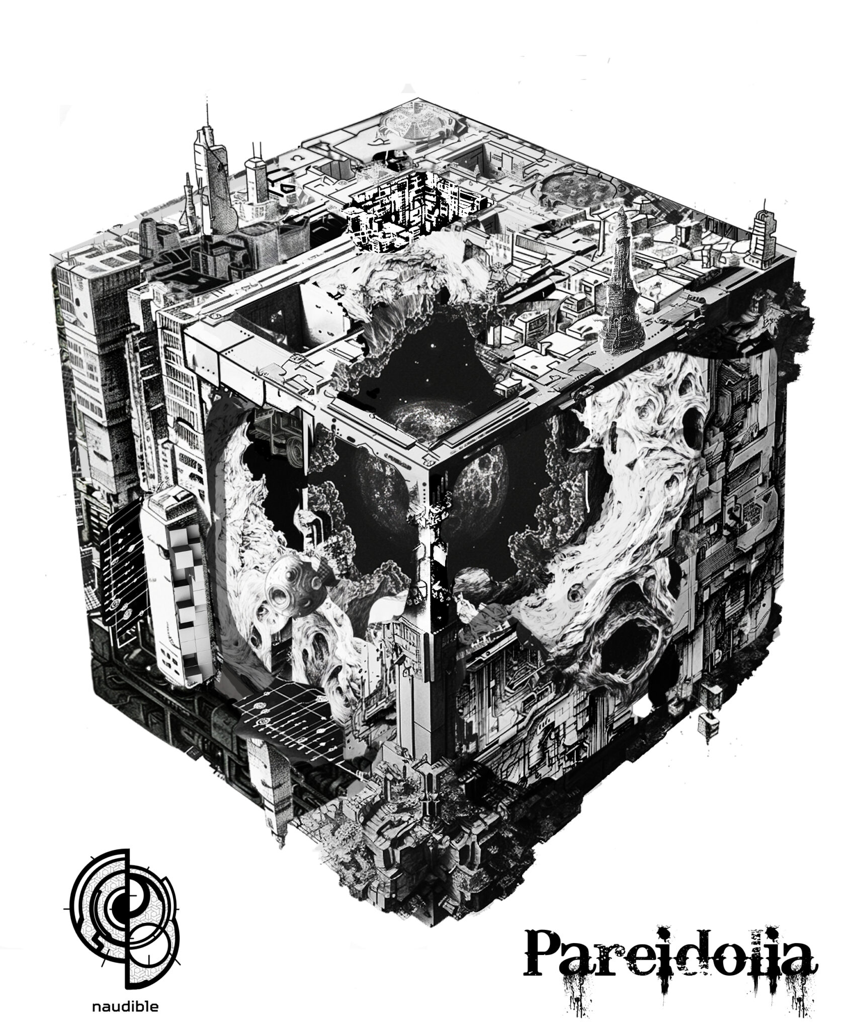 Naudible – Pareidolia | Anomalistic Records